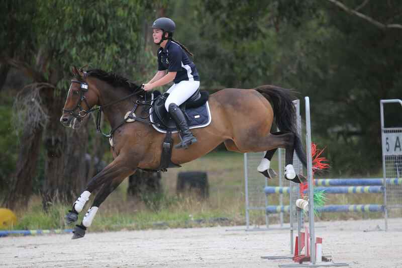 LPC_18_02_2024_0500 :: D Grade R1 18th February 2024 :: whythelongfaces