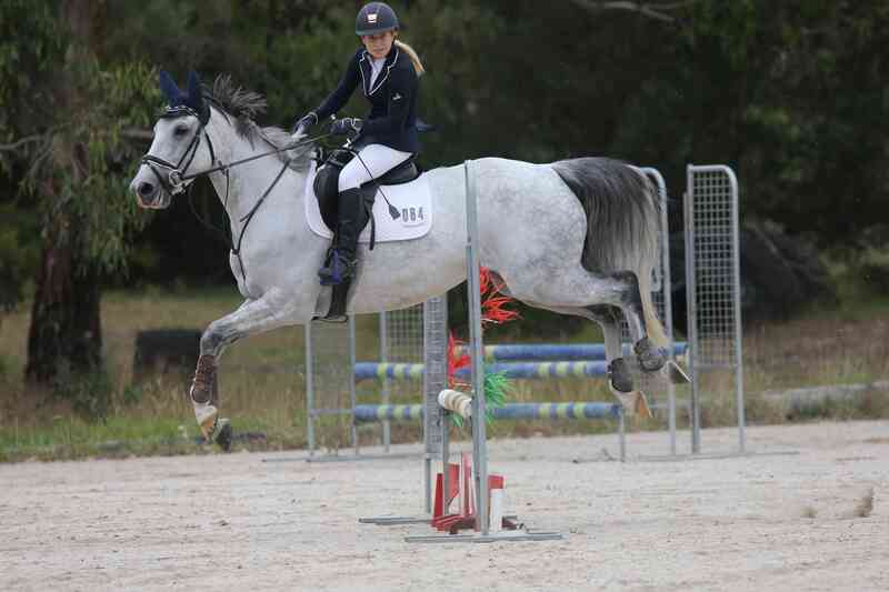 LPC_18_02_2024_0801 :: D Grade R1 18th February 2024 :: whythelongfaces