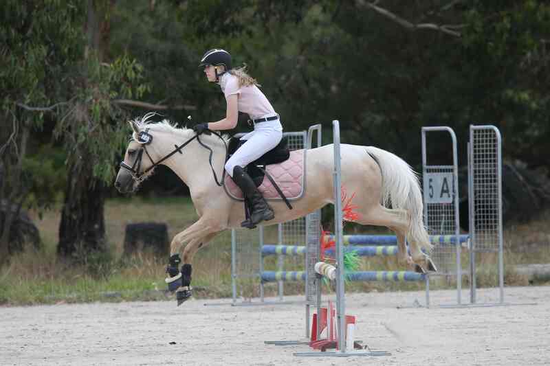 LPC_18_02_2024_0948 :: D Grade R1 18th February 2024 :: whythelongfaces