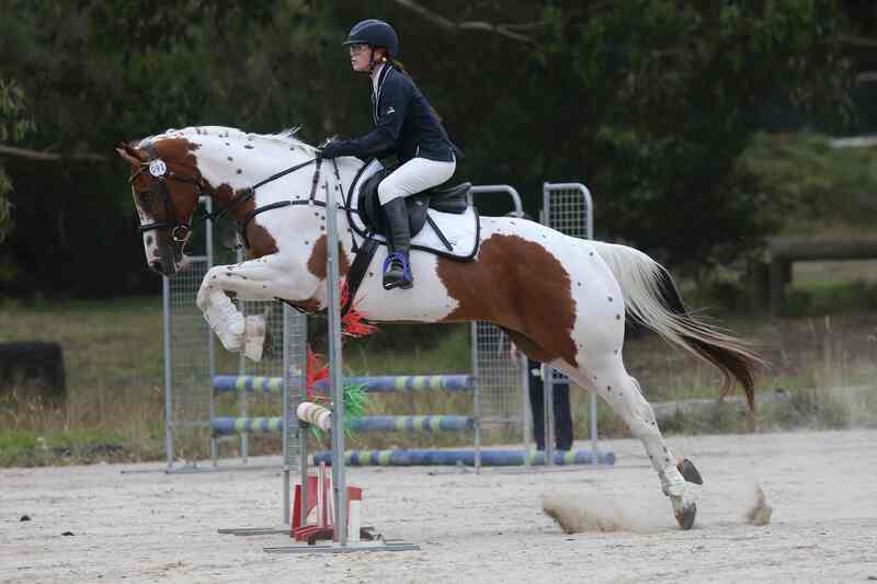 LPC_18_02_2024_1008 :: D Grade R1 18th February 2024 :: whythelongfaces