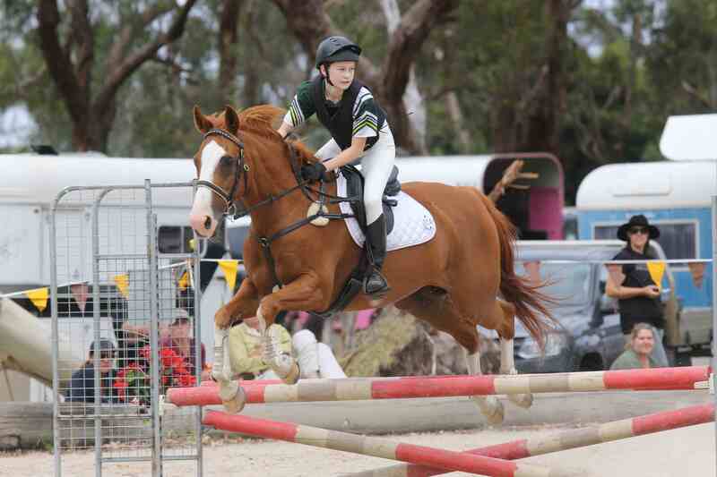 LPC_18_02_2024_1253 :: D Grade R2 18th February 2024 :: whythelongfaces