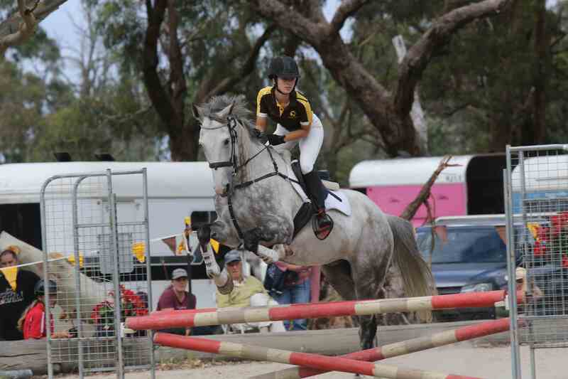 LPC_18_02_2024_1337 :: D Grade R2 18th February 2024 :: whythelongfaces