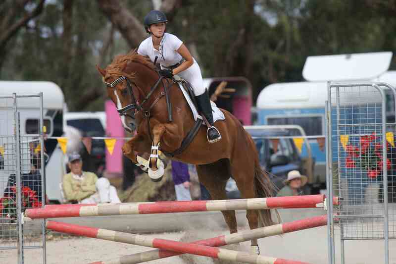 LPC_18_02_2024_1375 :: D Grade R2 18th February 2024 :: whythelongfaces