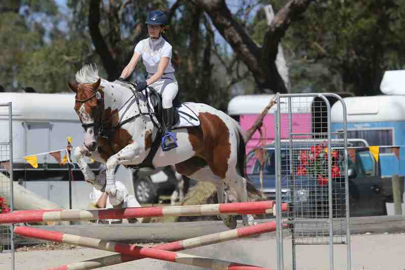 LPC_18_02_2024_1620 :: D Grade R2 18th February 2024 :: whythelongfaces