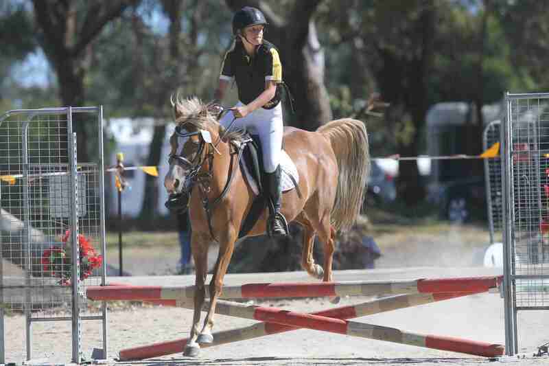 LPC_18_02_2024_3304 :: E Grade R2 18th February 2024 :: whythelongfaces