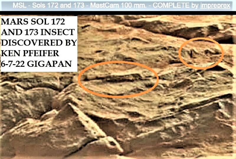 1-MARS SOL 173-173 INSECT DISCOVERED BY KEN PFEIFER 6-7-22 GIGAPAN-4 ...