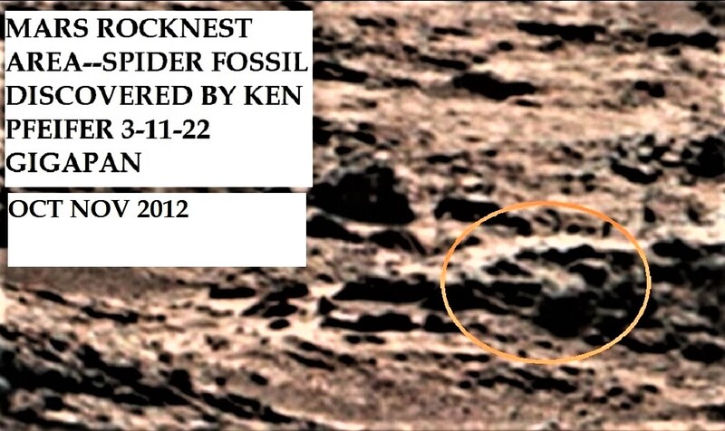 MARS ROCKNEST AREA SPIDER FOSSIL DISCOVERED BY KEN PFEIFER 3-11-22 ...
