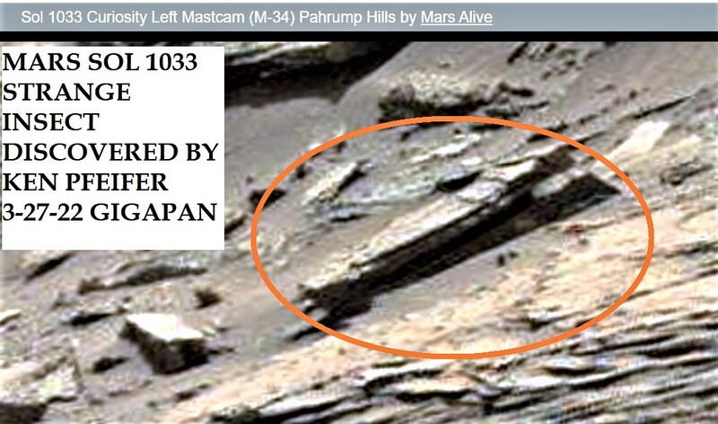 MARS SOL 1033 STRANGE INSECT DISCOVERED BY KEN PFEIFER 3-27-22 GIGAPAN ...
