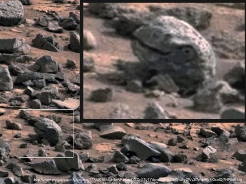 MARS--STRANGE FOSSIL FOUND--MSL 844 :: MARS :: WWW.WORLD UFO PHOTOS.ORG
