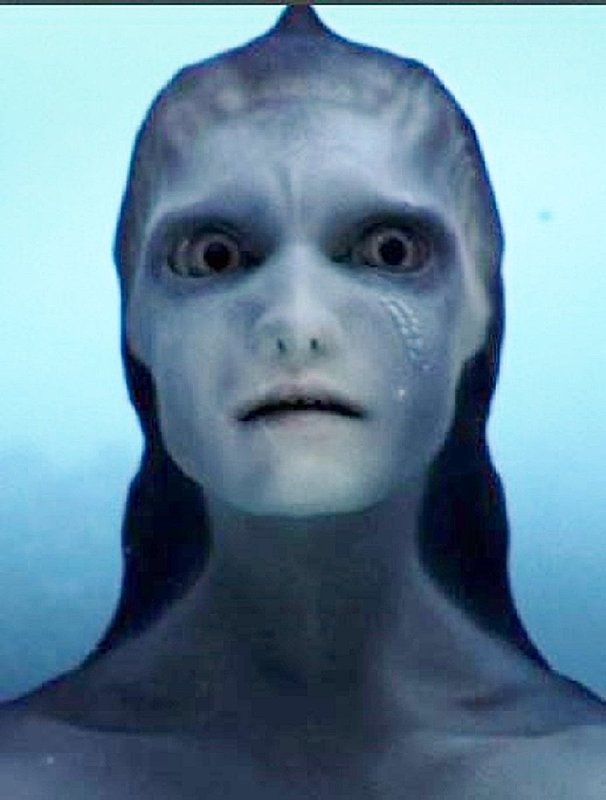 STRANGE--MERMAID PHOTO ANIMAL PLANET DOCUMENTARY. :: STRANGE STUFF ...