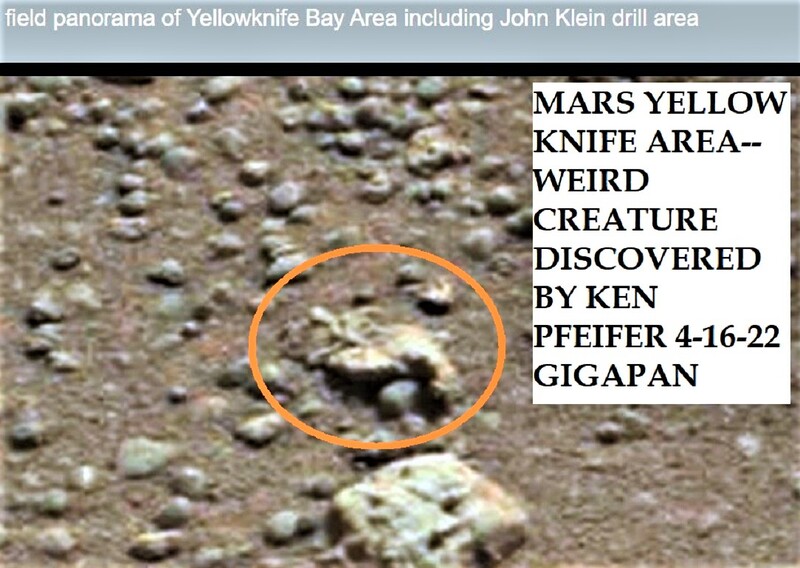 W-MARS YELLOW KNIFE BAY AREA--WEIRD CREATURE DISCOVERED BY KEN PFEIFER ...