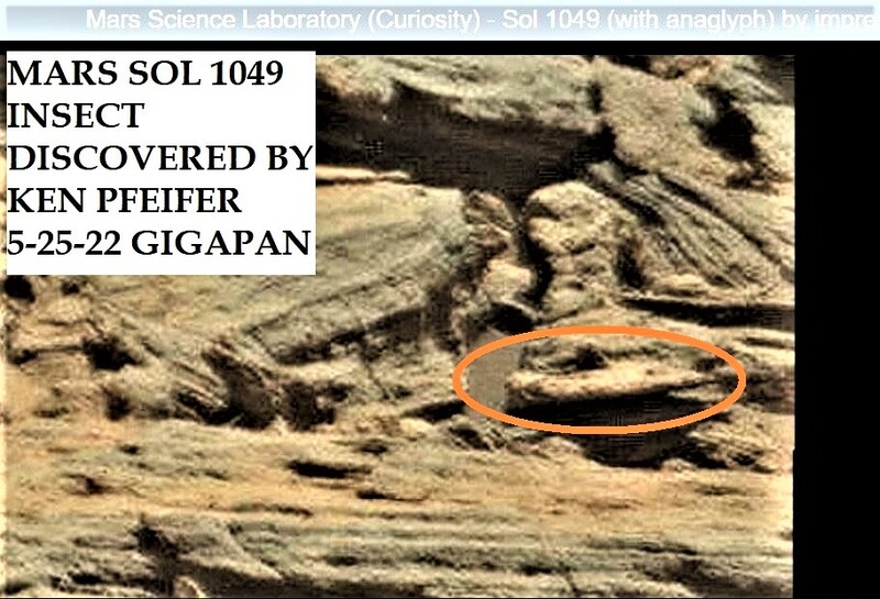 Z6-MARS SOL 1049 INSECT DISCOVERED BY KEN PFEIFER 5-25-22 GIGAPAN-2 ...