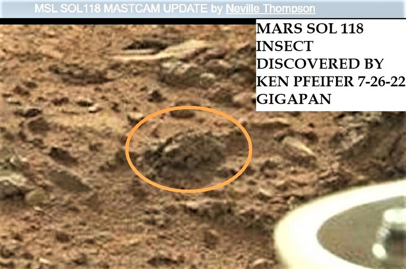 ZR-MARS SOL 118 INSECT DISCOVERED BY KEN PFEIFER 7-26-22 GIGAPAN ...