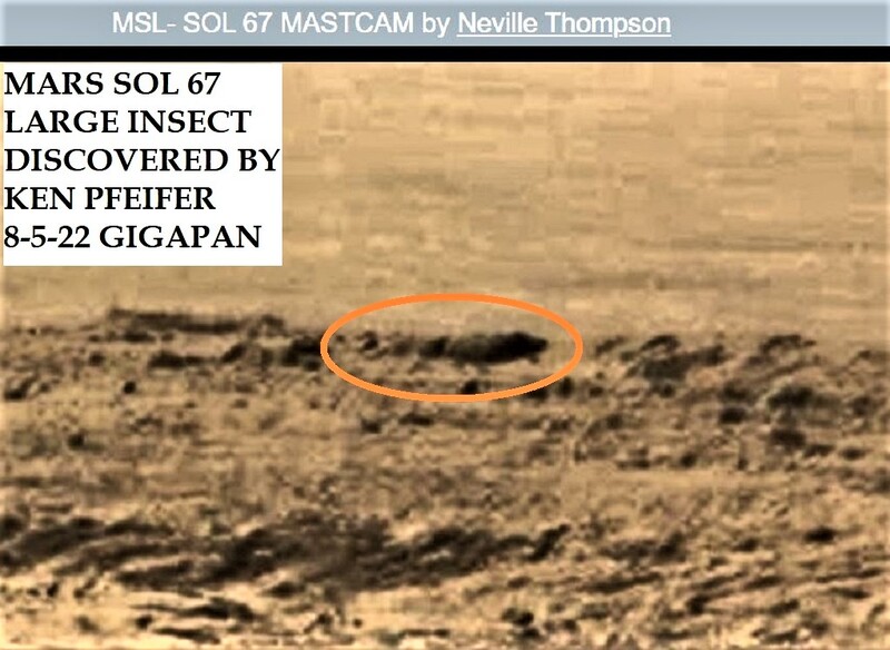 ZV-MARS SOL 67 LARGE NSECT DISCOVERED BY KEN PFEIFER 8-4 22 GIGAPAN ...