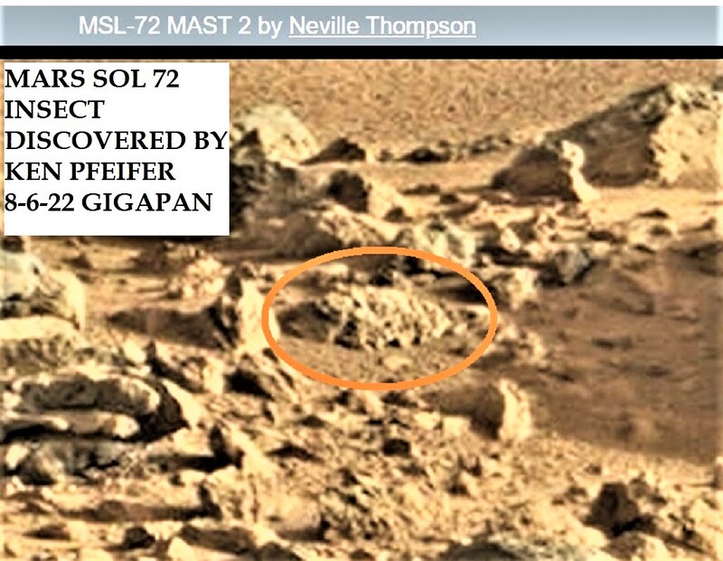 ZV-MARS SOL 72 INSECT DISCOVERED BY KEN PFEIFER 8-6-22 GIGAPAN :: KENS ...