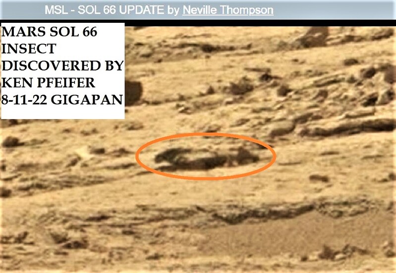 ZW-MARS SOL 66 INSECT DISCOVERED BY KEN PFEIFER 8-11-22 GIGAPAN :: KENS ...