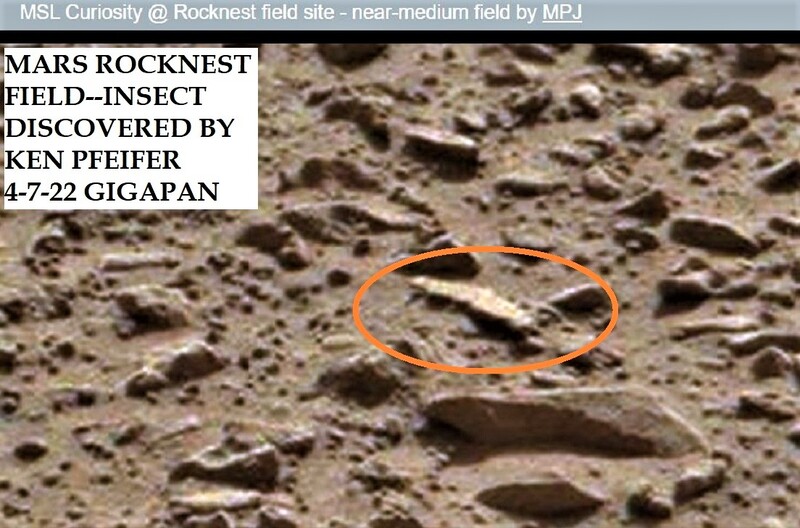 p-MARS ROCKNEST FIELD--INSECT DISCOVERED BY KEN PFEIFER 4-3-22 GIGAPAN ...