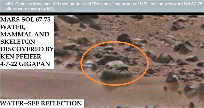 p-MARS SOL 57-75 WATER MAMMAL AND SKELETON DISCOVERED BY KEN PFEIFER 4 ...
