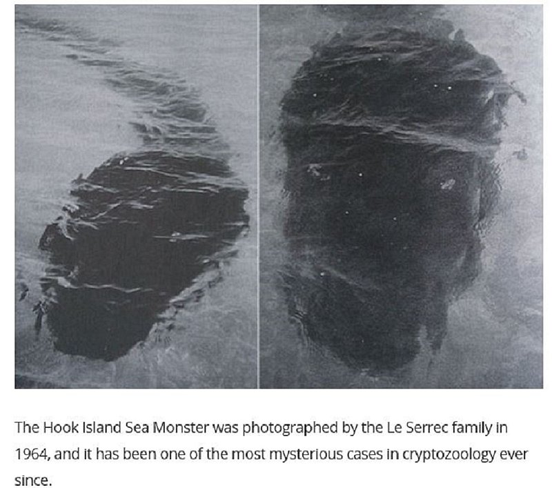 STRANGE--HOOK ISLAND SEA MONSTER :: STRANGE STUFF :: WWW.WORLD UFO ...